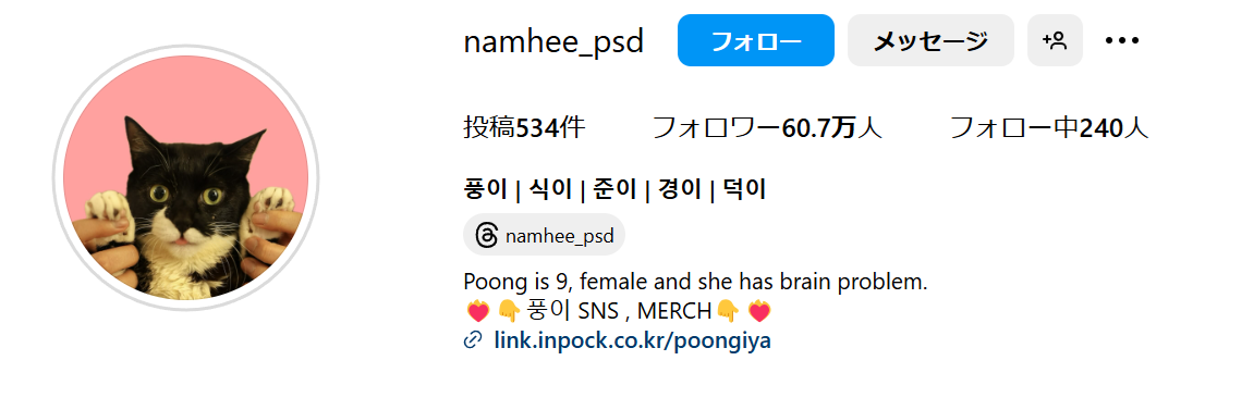あーん、と口を開けてごはんをもらう猫がカワイイ「namhee_psd」さんの障害のある猫ちゃん「Poong（プン）풍이」ちゃんについて調べる ...